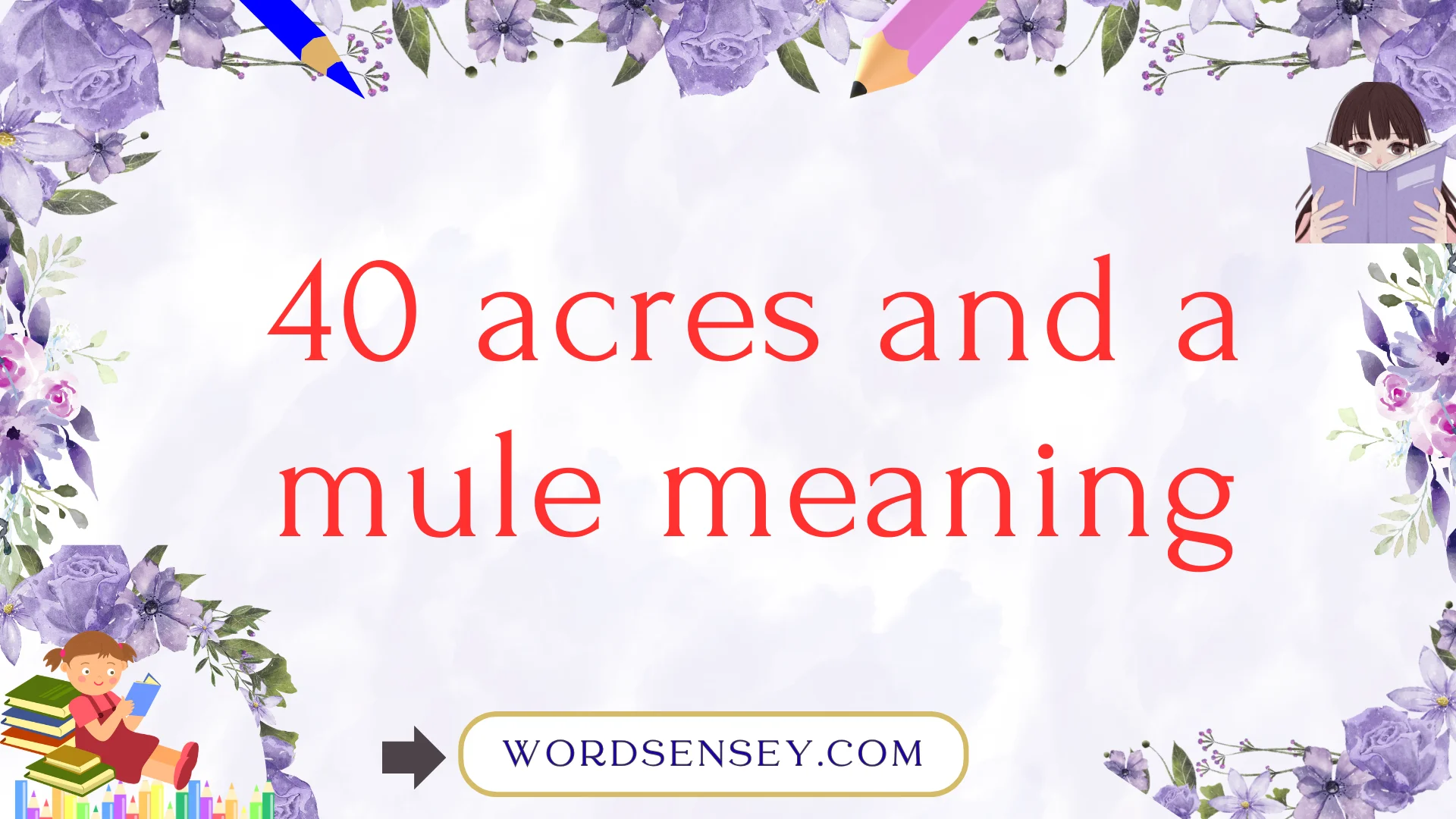 What Does 40 Acres and a Mule Meaning? Definition, Usage, Examples ...